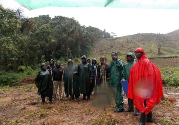 Responding to Human Wildlife Conflict: Nkuringo Buffer Zone Management ...