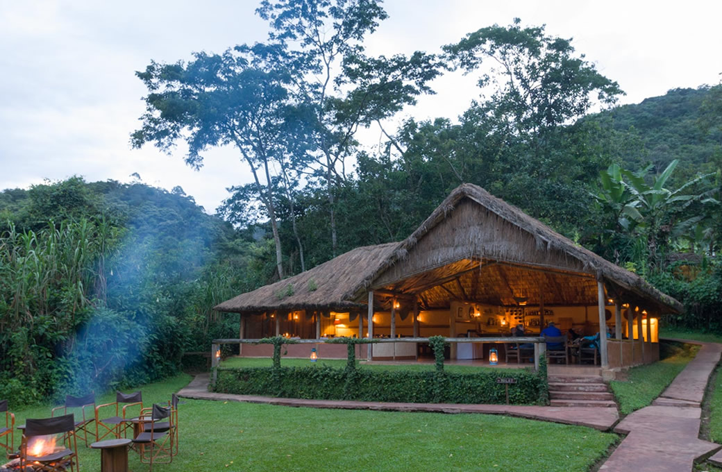 Bwindi Forest Lodge | Bwindi National Park