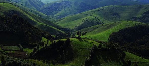 Bwindi Impenetrable National Park: Activities & Tours Guide